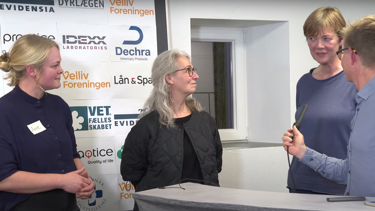 Et ordentligt spark for arbejdsglæde | Fagmagasinet DYRLÆGEN