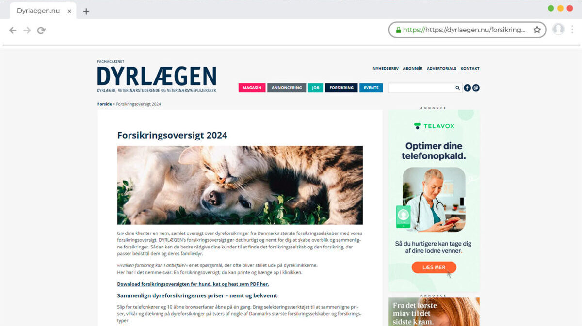 Find den rigtige forsikring — Læs de seneste nyheder og fagartikler