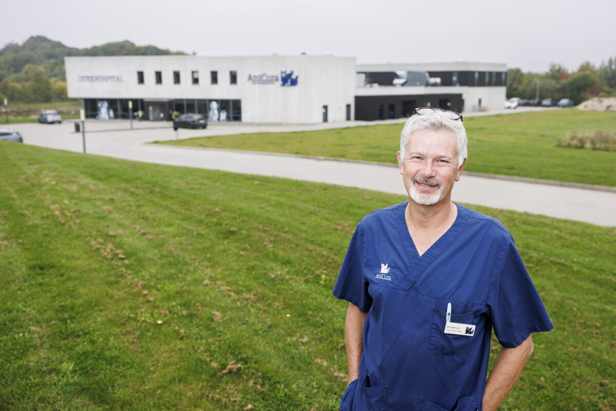 Aarhus Dyrehospital: Fra traditionelt dyrehospital til ’Dyrenes Skejby ...